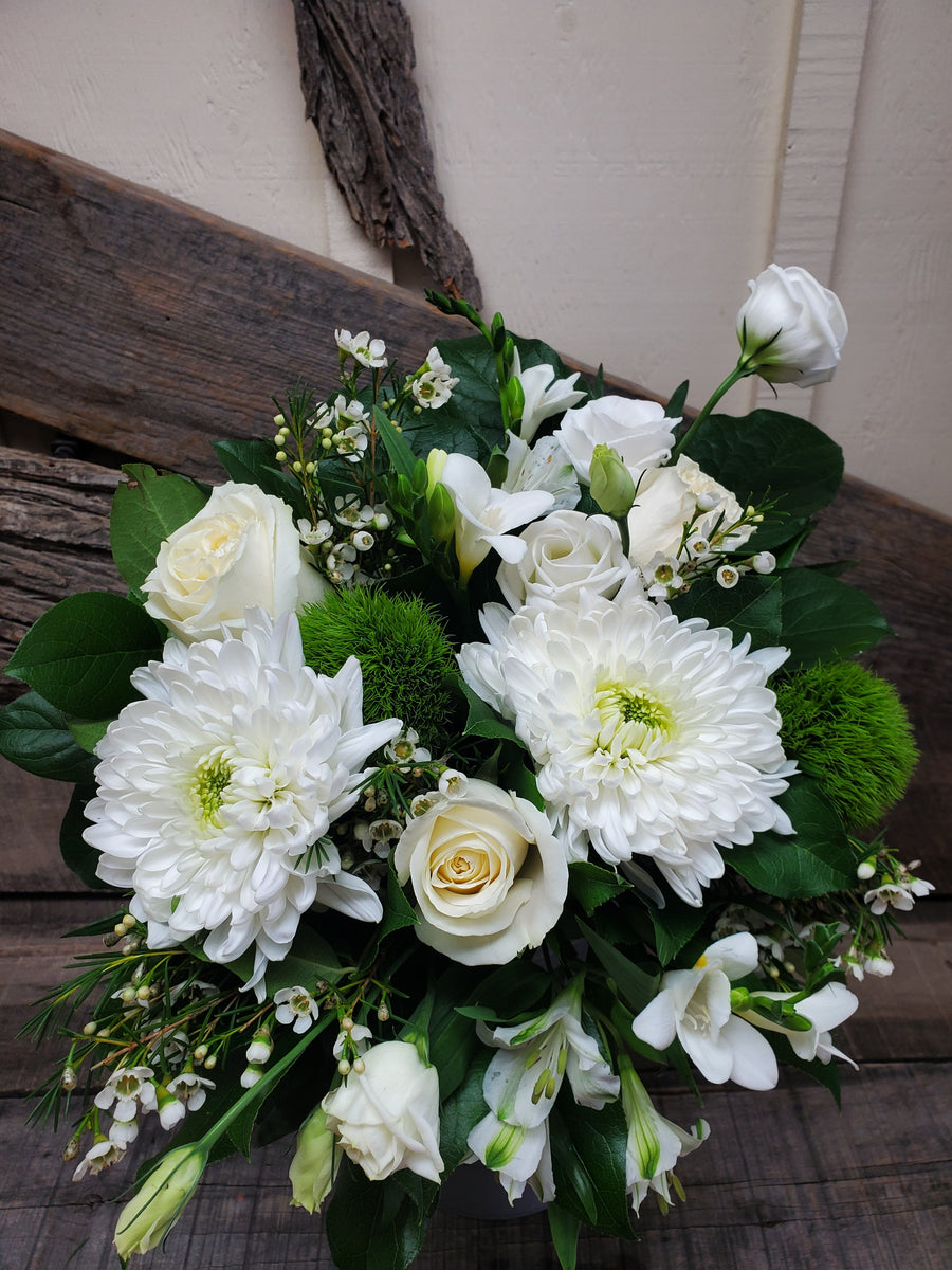 Alligator Pie – Euro Style Flower Market